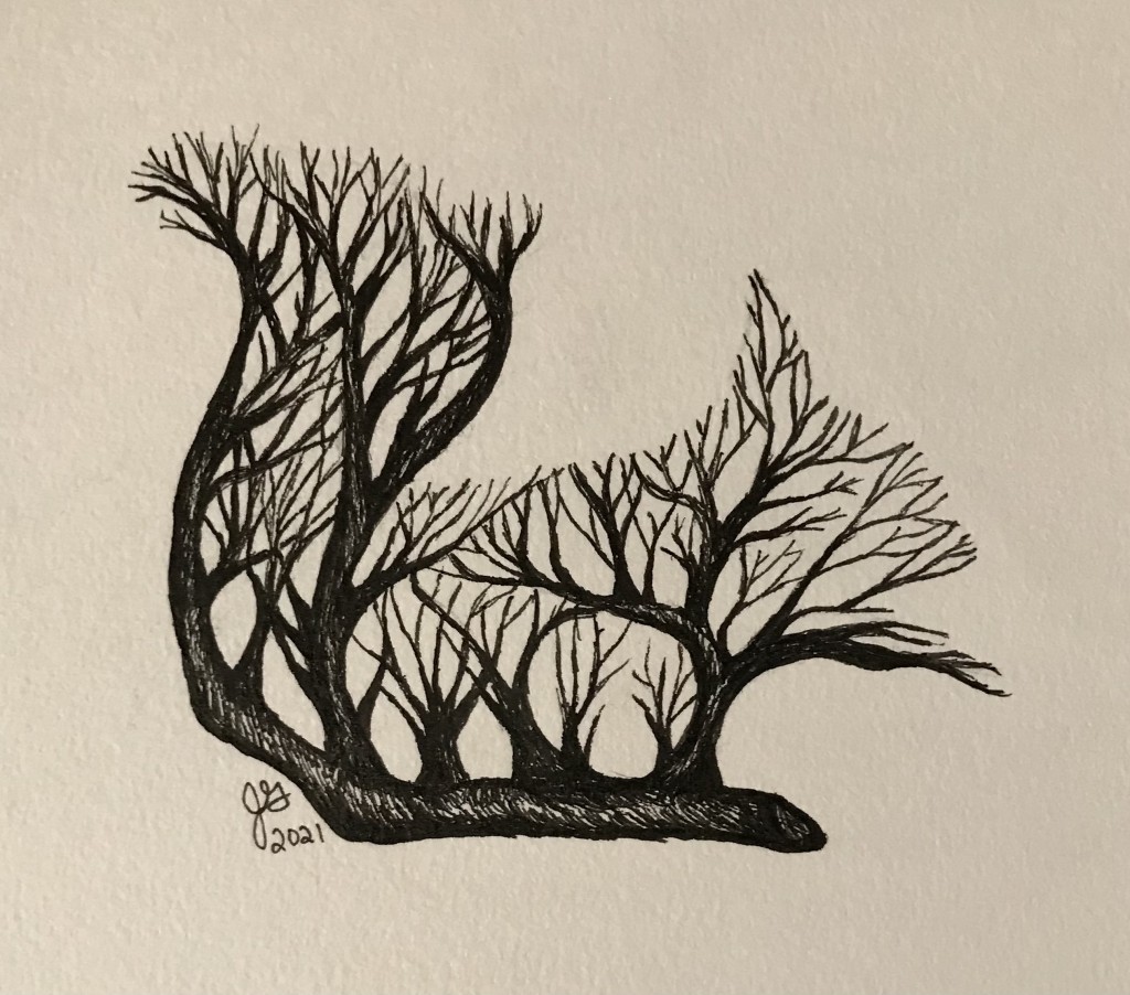 Tree Squirrel drawing by Jean Garro | Doodle Addicts