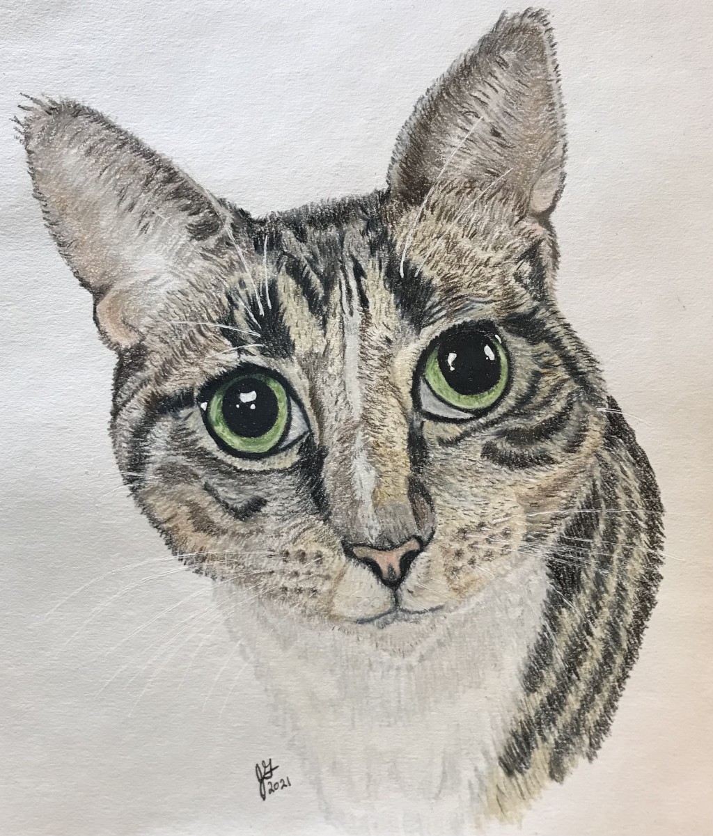 Cat Stevens drawing by Jean Garro | Doodle Addicts