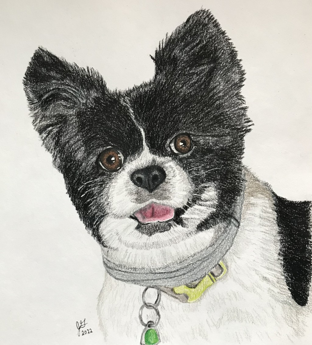 Yoda drawing by Jean Garro | Doodle Addicts