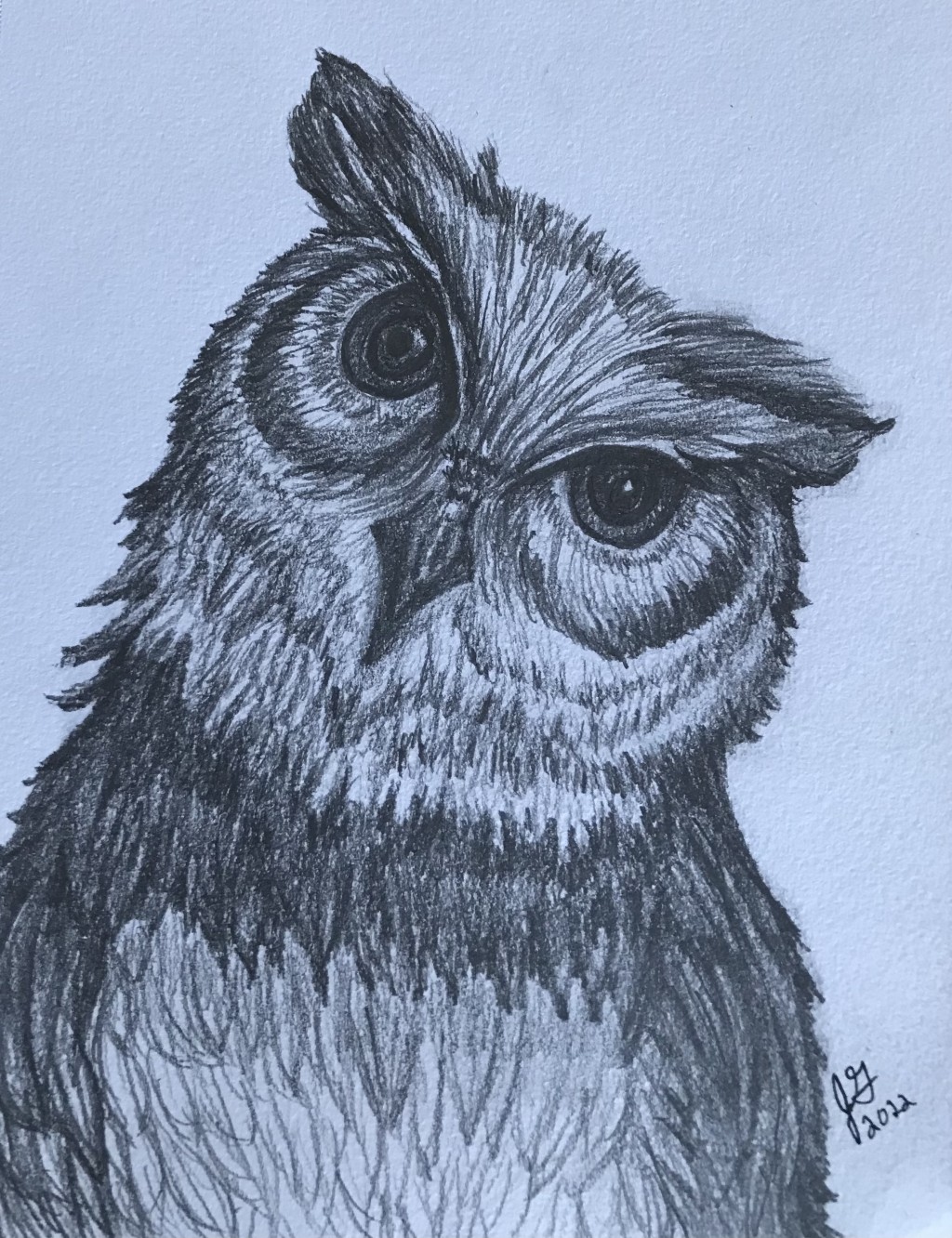 My Spirit Animal drawing by Jean Garro | Doodle Addicts