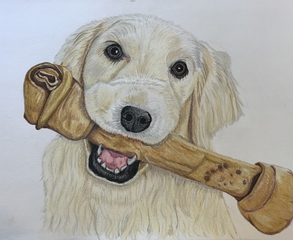 Want to Play? drawing by Jean Garro | Doodle Addicts