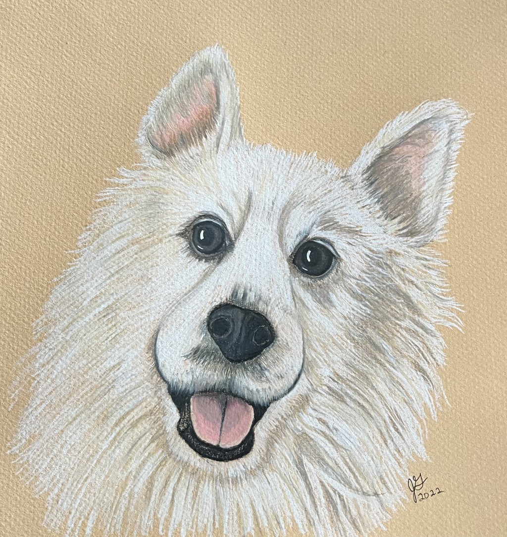 Buddy drawing by Jean Garro | Doodle Addicts