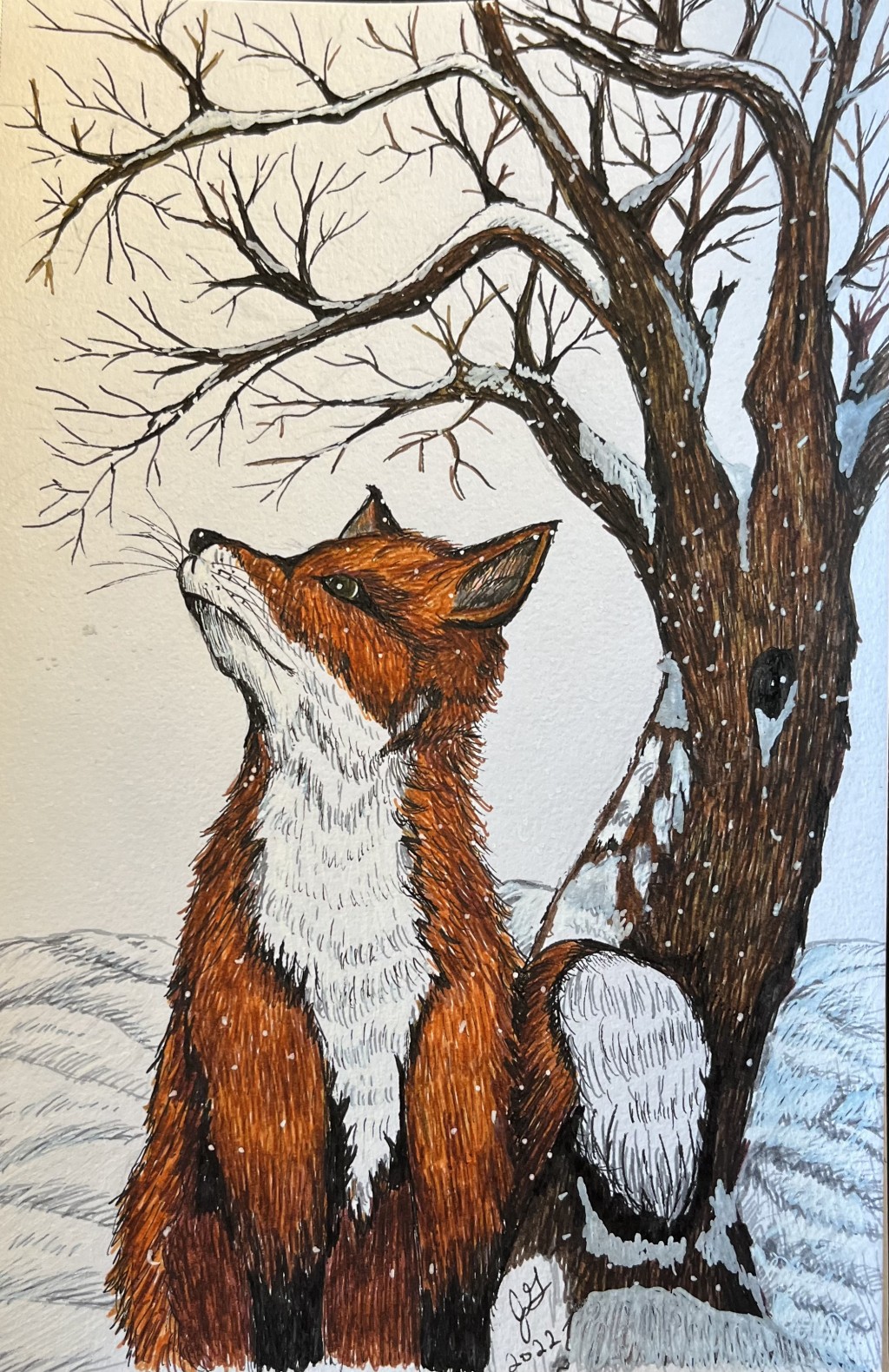 Foxy drawing by Jean Garro | Doodle Addicts