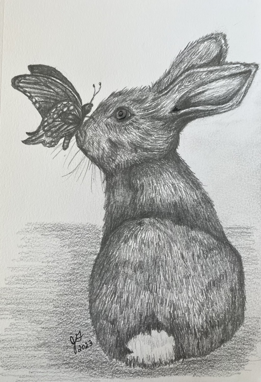 Bun and Butterfly drawing by Jean Garro | Doodle Addicts