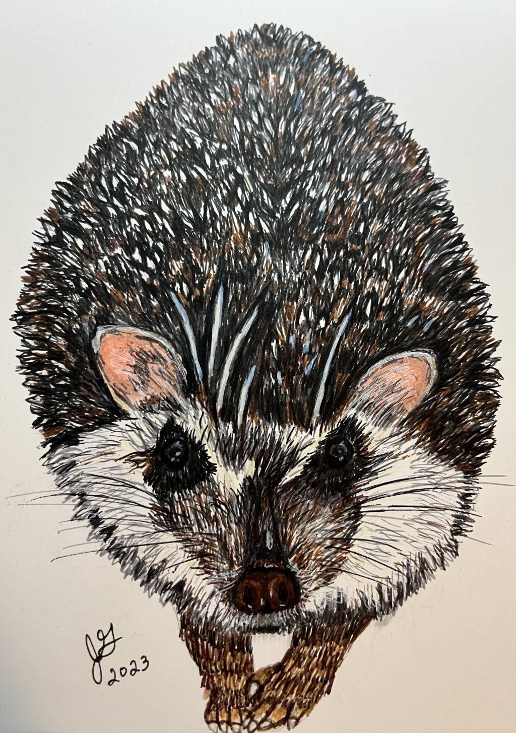 Zelda the hedgehog drawing by Jean Garro | Doodle Addicts