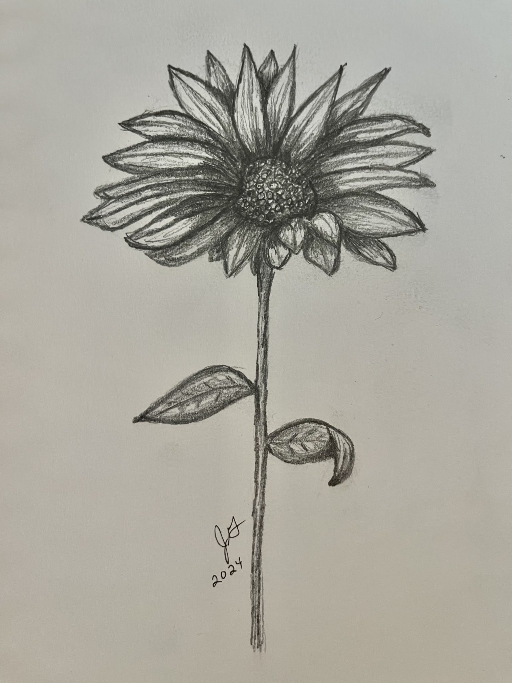 Flower practice sketch drawing by Jean Garro | Doodle Addicts