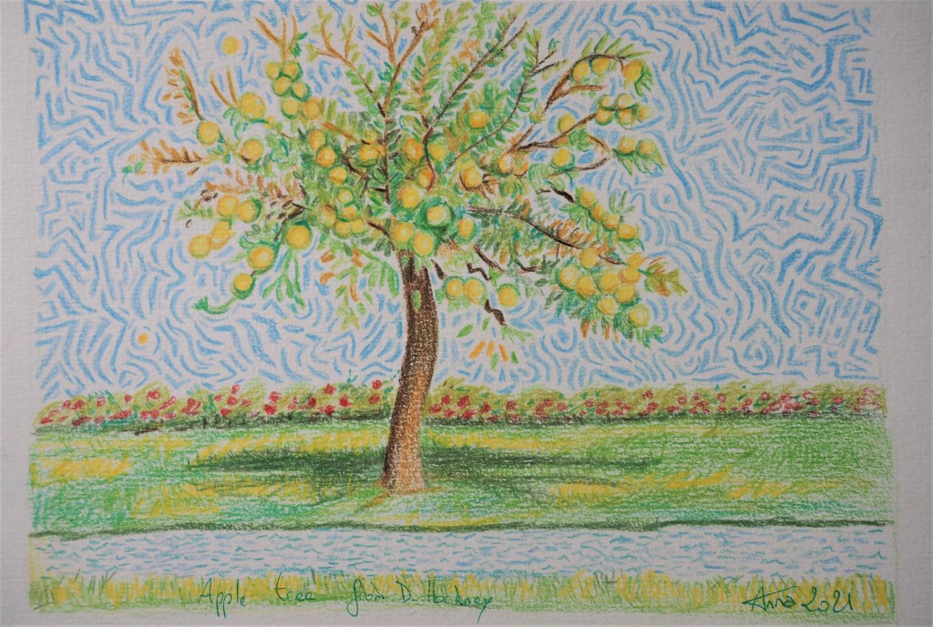 The apple tree by David Hockney drawing by Anna | Doodle Addicts