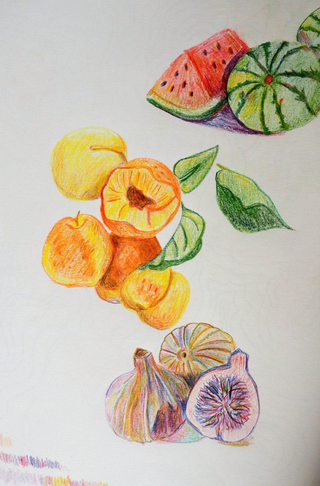 Tutti Frutti sketch drawing by Anna | Doodle Addicts