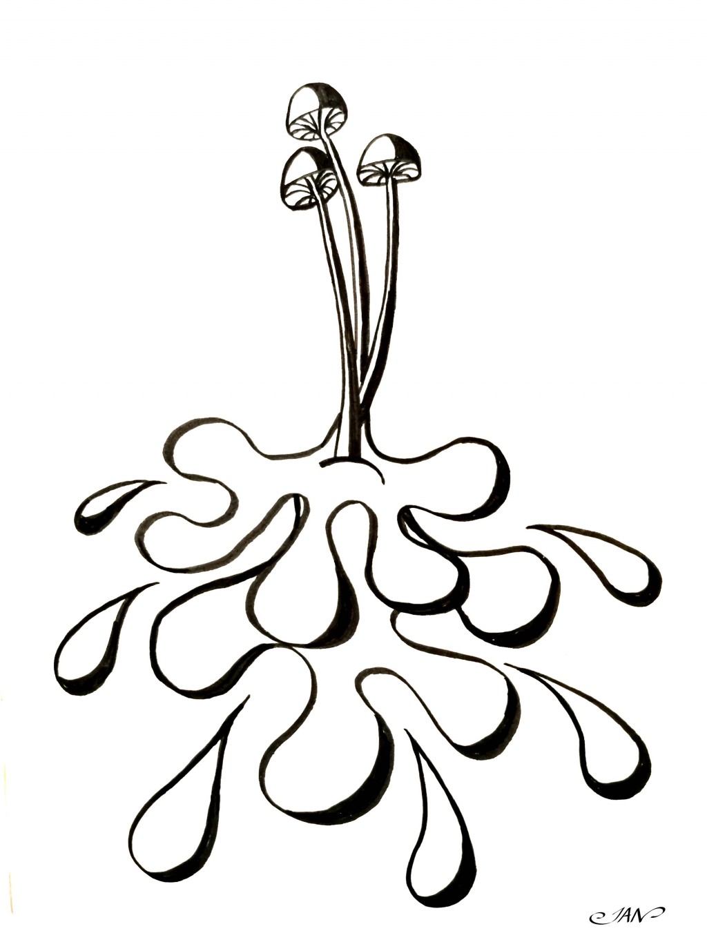 Mushrooms growing on a liquid substrate drawing by Psylent | Doodle Addicts