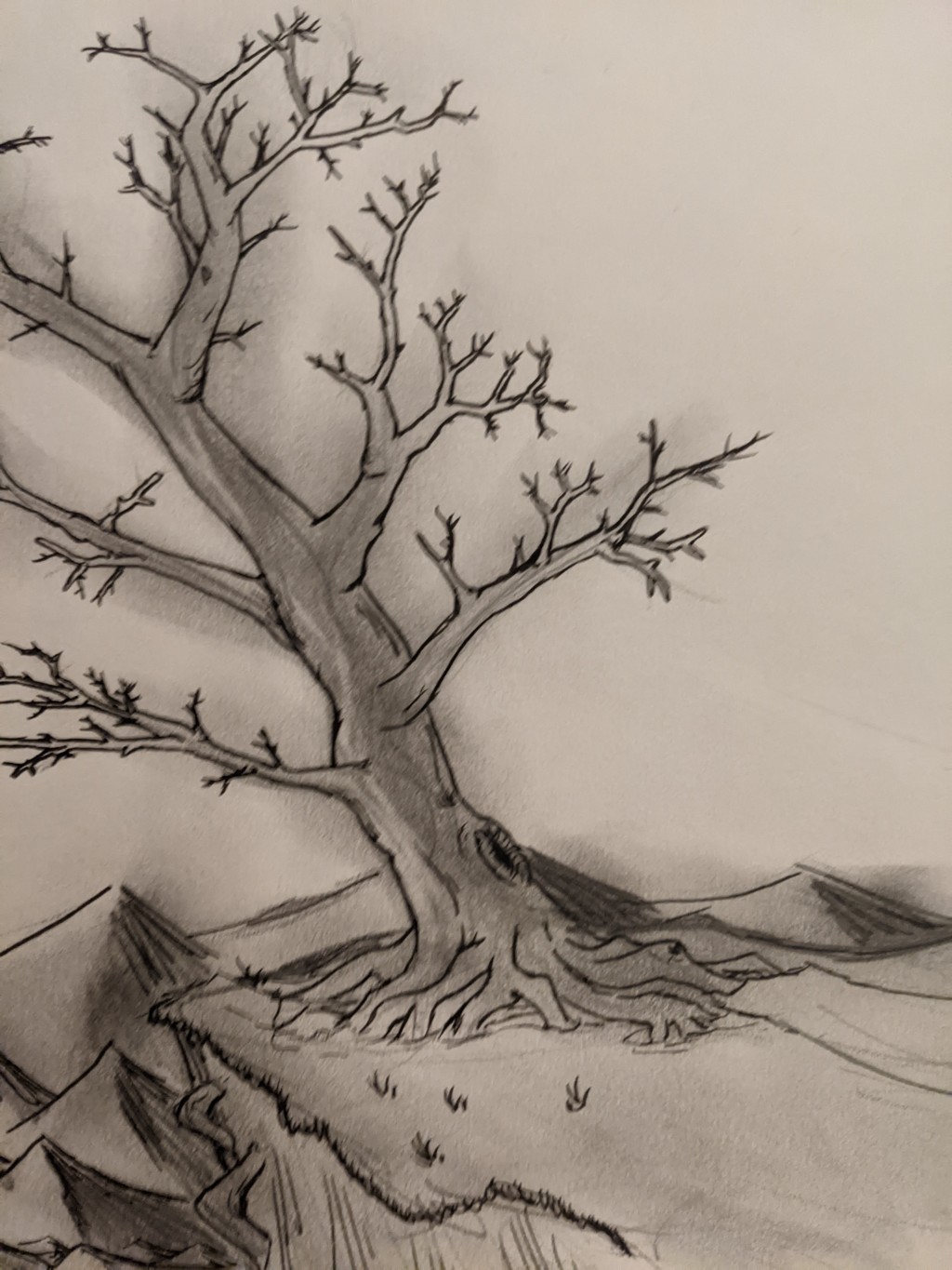 Perched drawing by Caden Hoyt | Doodle Addicts