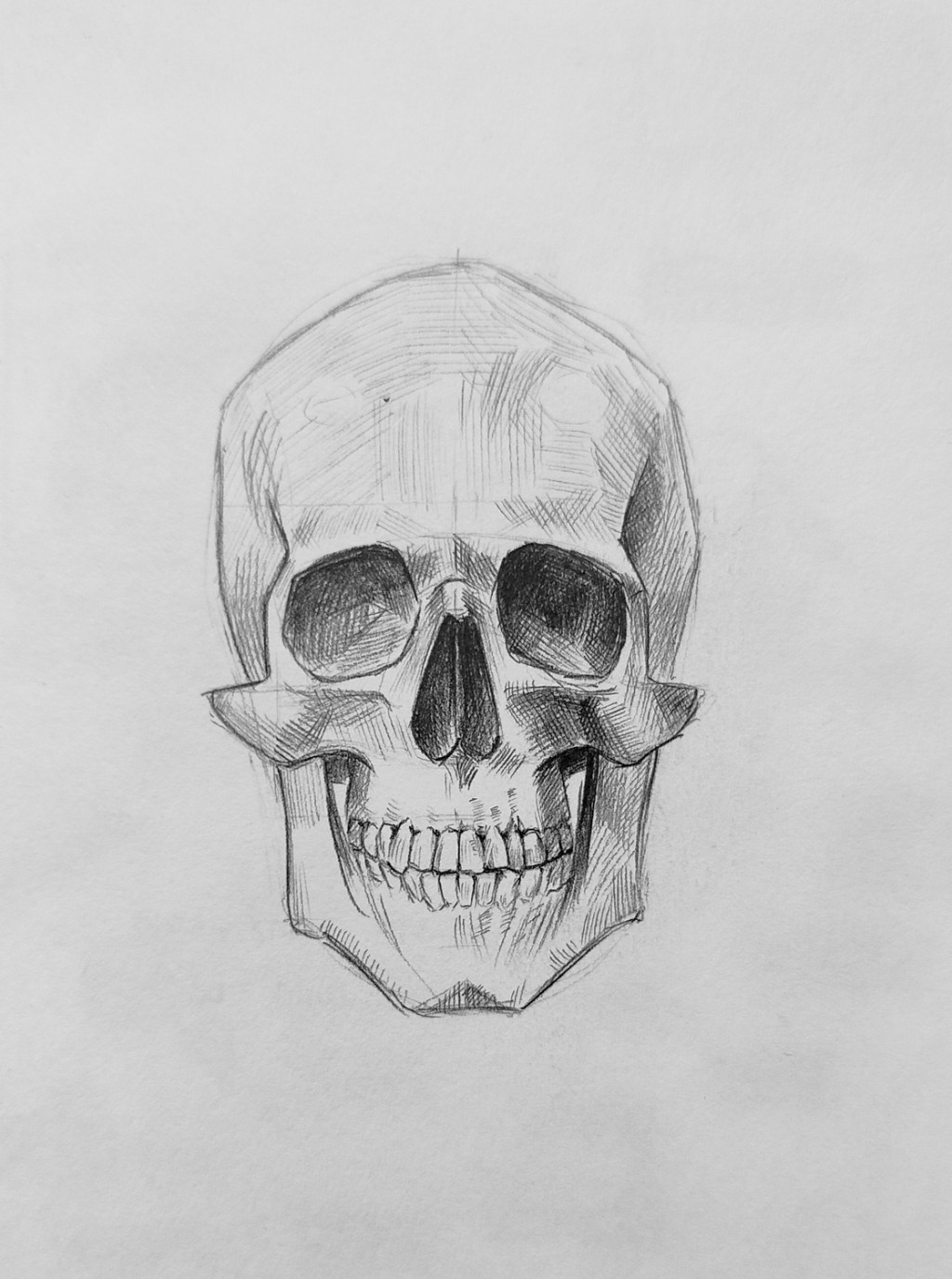 Skull study drawing by Timofei Shcheglov | Doodle Addicts