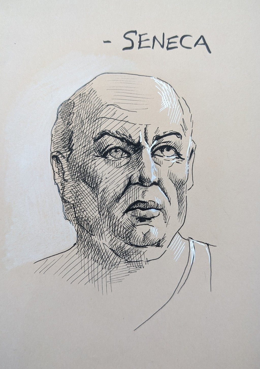 Seneca drawing by TimShch | Doodle Addicts