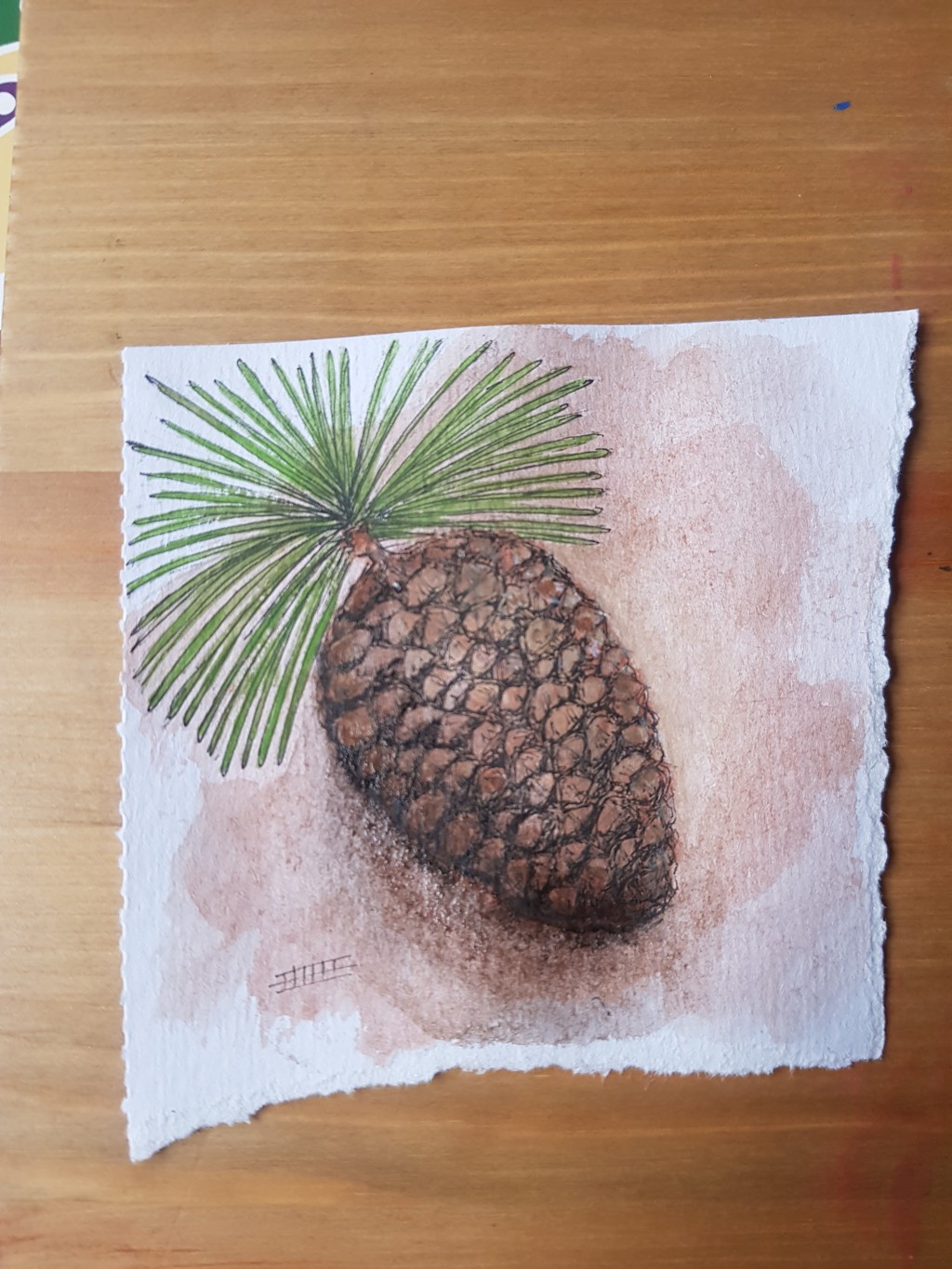 Pine Cone drawing by Yānā Moon Craft & Art | Doodle Addicts