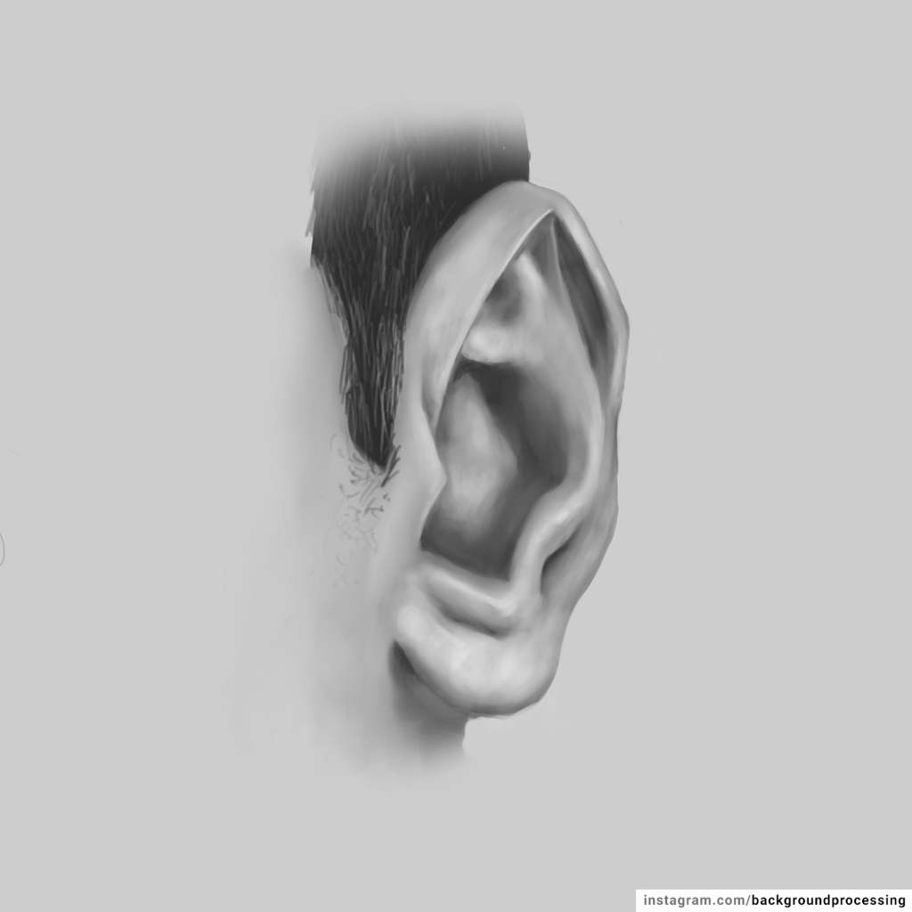Ear study drawing by Background Processing | Doodle Addicts