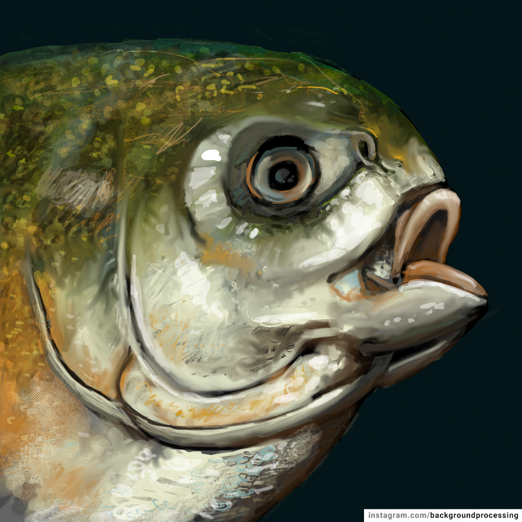 Fish face drawing by Background Processing | Doodle Addicts