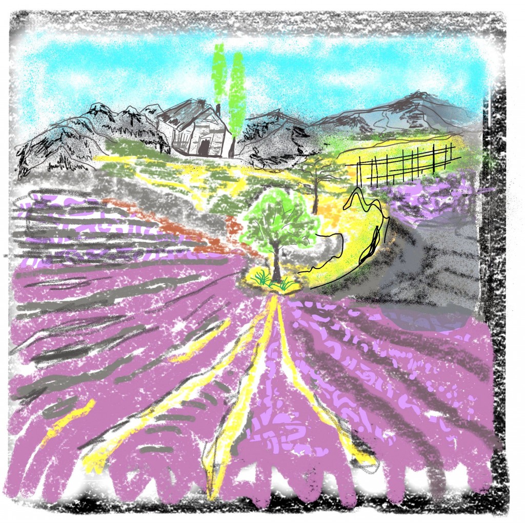 Follow the lavender field drawing by Jufi | Doodle Addicts