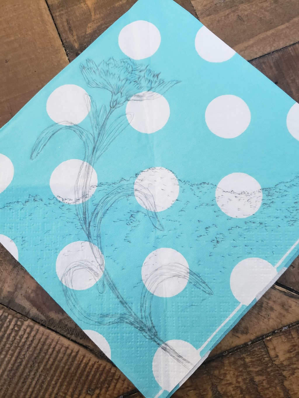 Carnation and Snow drop flowers drawing by Lora Sager | Doodle Addicts