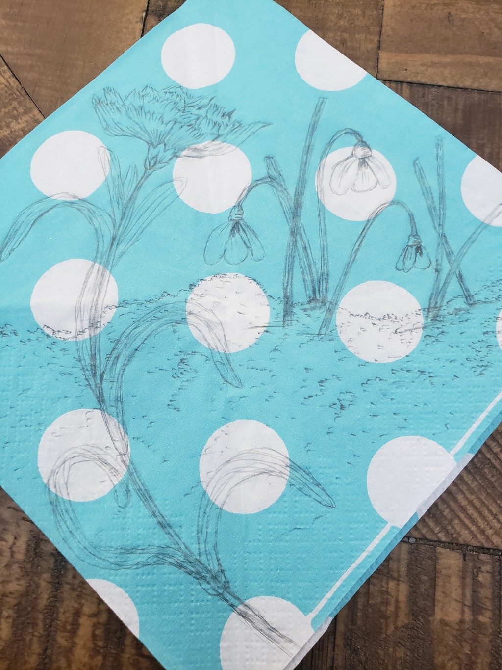 Carnation and Snow drop flowers drawing by Lora Sager | Doodle Addicts