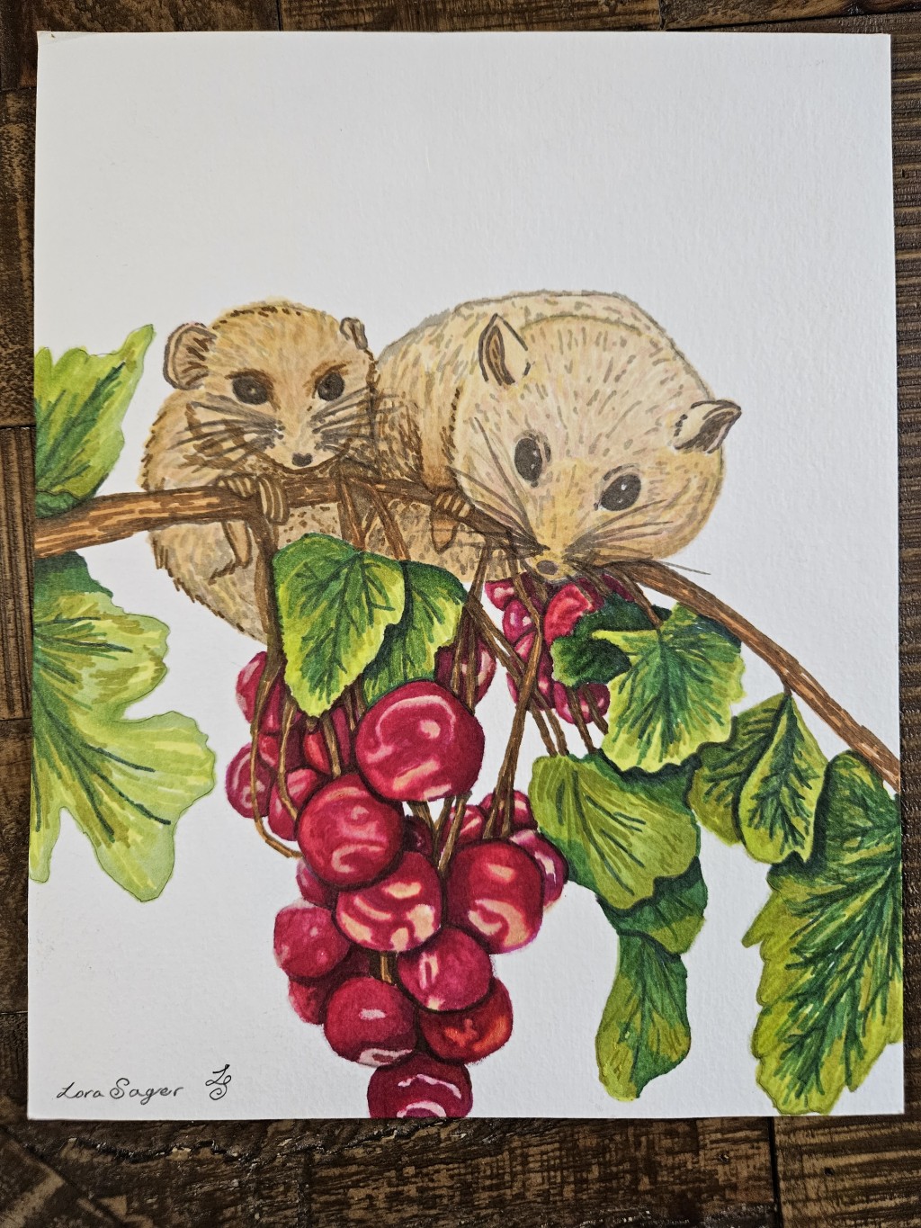 drawing by Lora Sager | Doodle Addicts