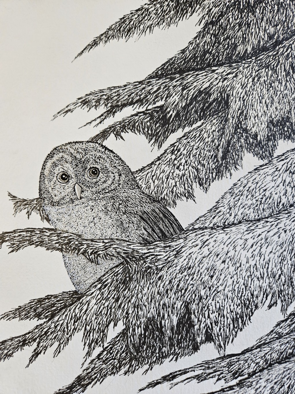 drawing by Lora Sager | Doodle Addicts