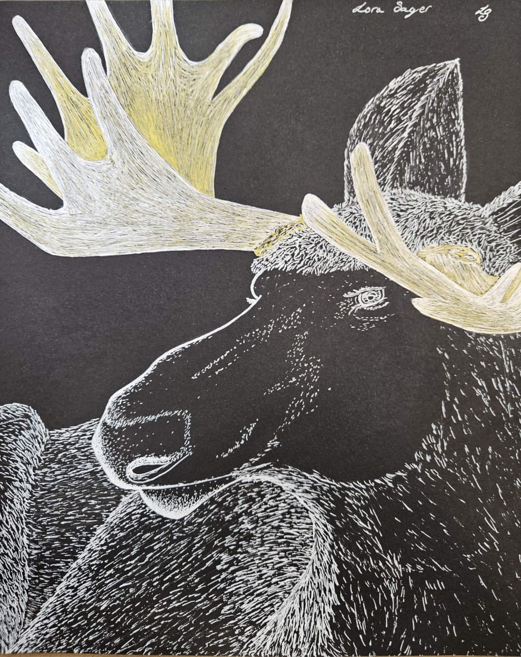 Moose laying down drawing by Lora Sager | Doodle Addicts