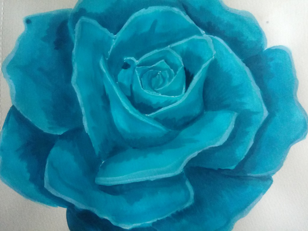 Blue Rose drawing by Rebecca Kaylin Jones | Doodle Addicts