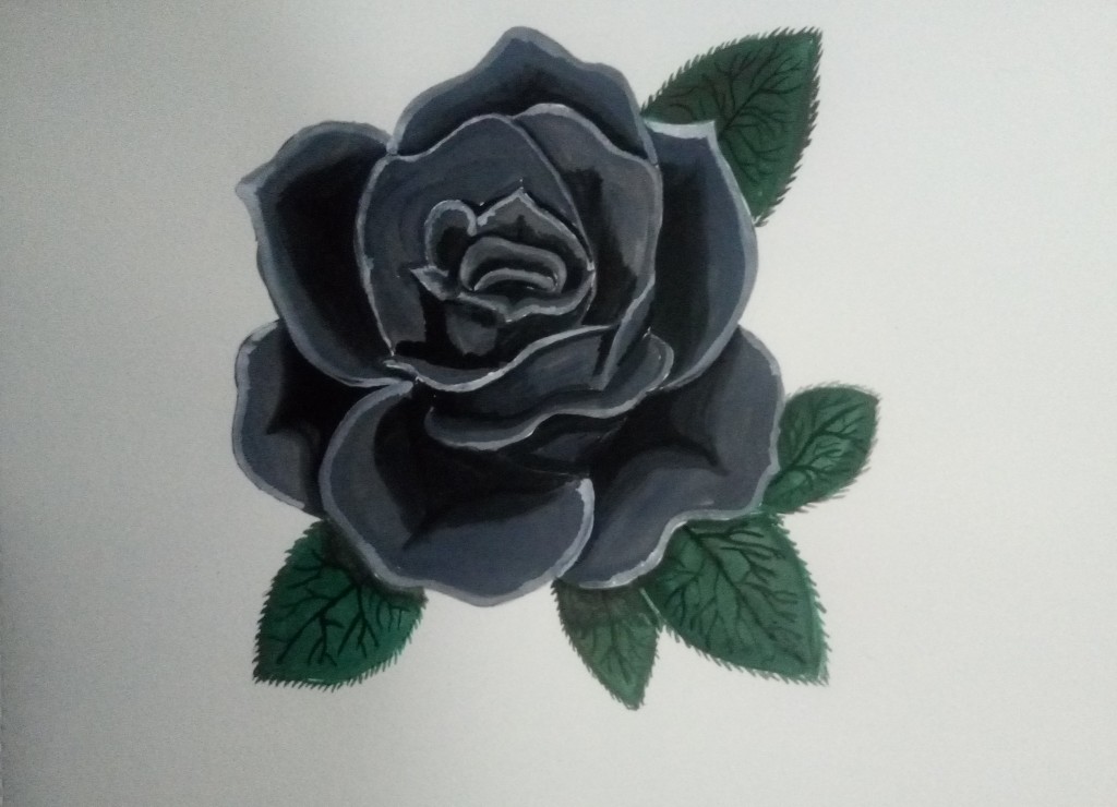 Black Rose drawing by Rebecca Kaylin Jones | Doodle Addicts