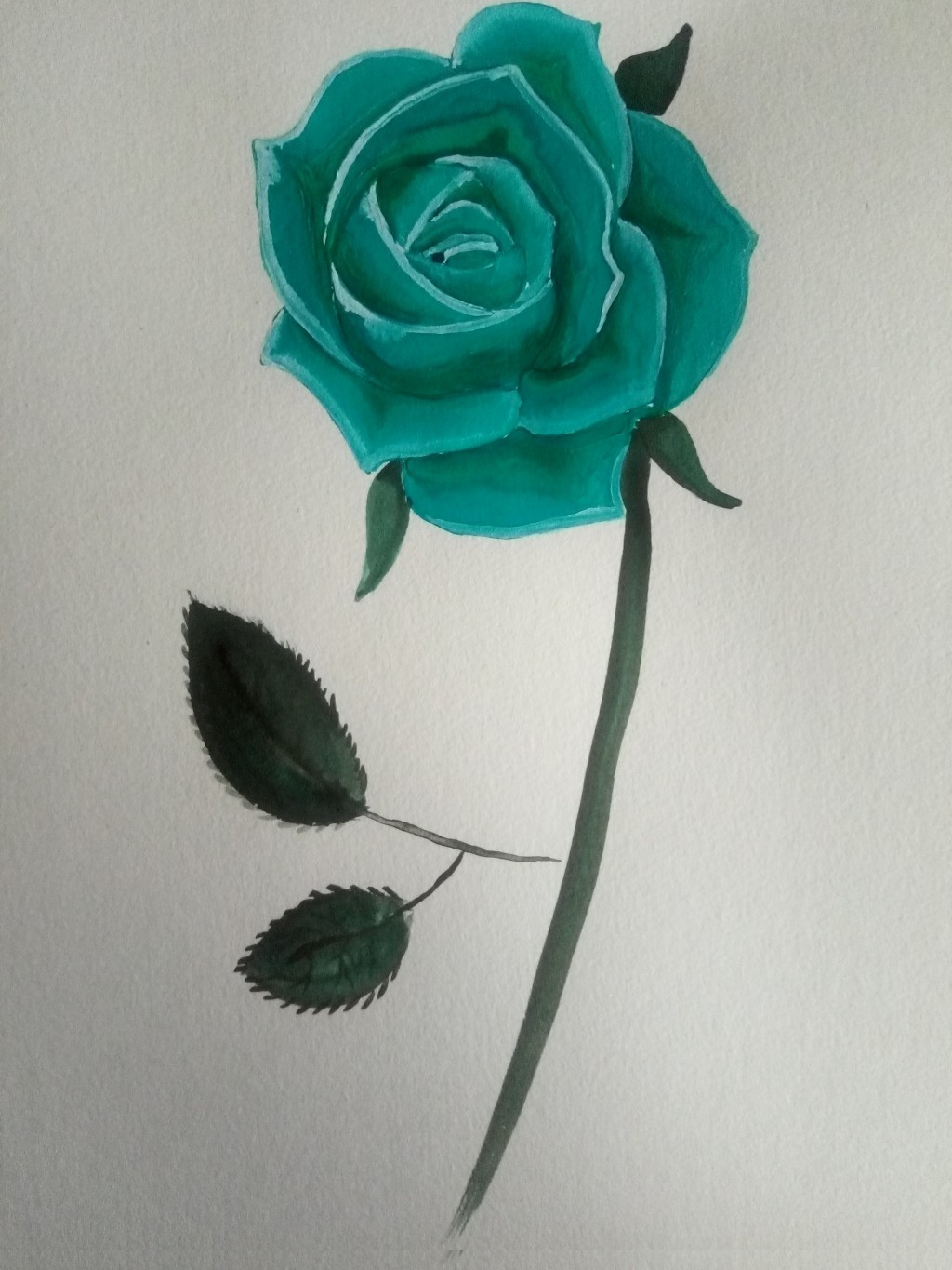 Turquoise Rose drawing by Rebecca Kaylin Jones | Doodle Addicts