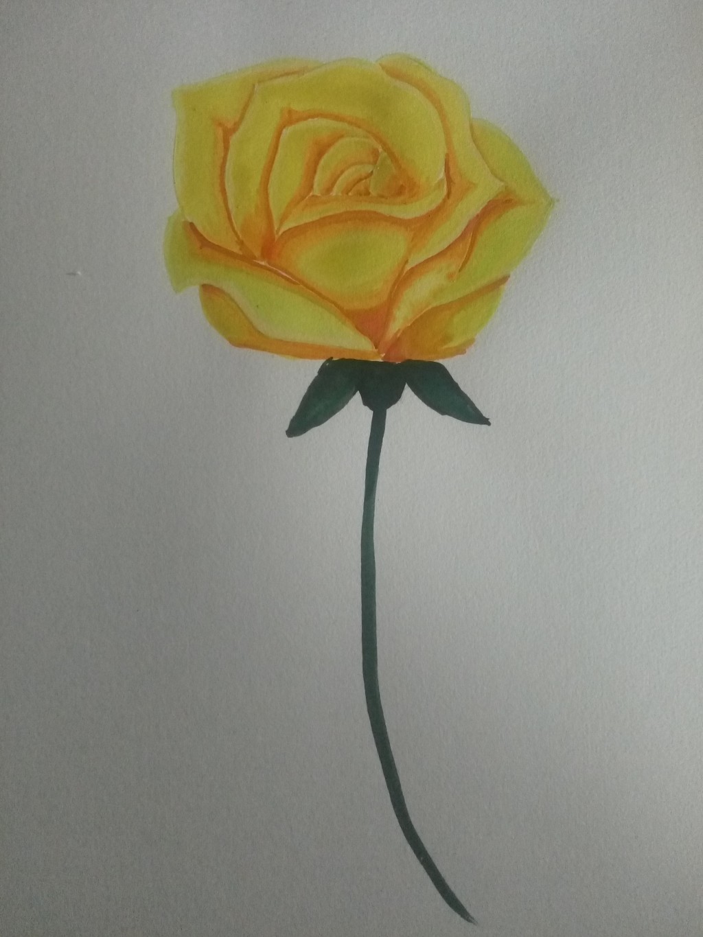 Yellow Rose drawing by Rebecca Kaylin Gibson | Doodle Addicts