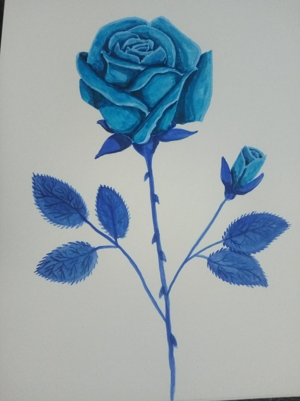 Blue Roses drawing by Rebecca Kaylin Jones | Doodle Addicts