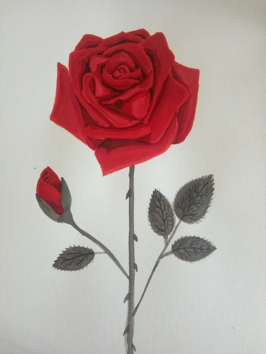 Red Roses drawing by Rebecca Kaylin Jones | Doodle Addicts