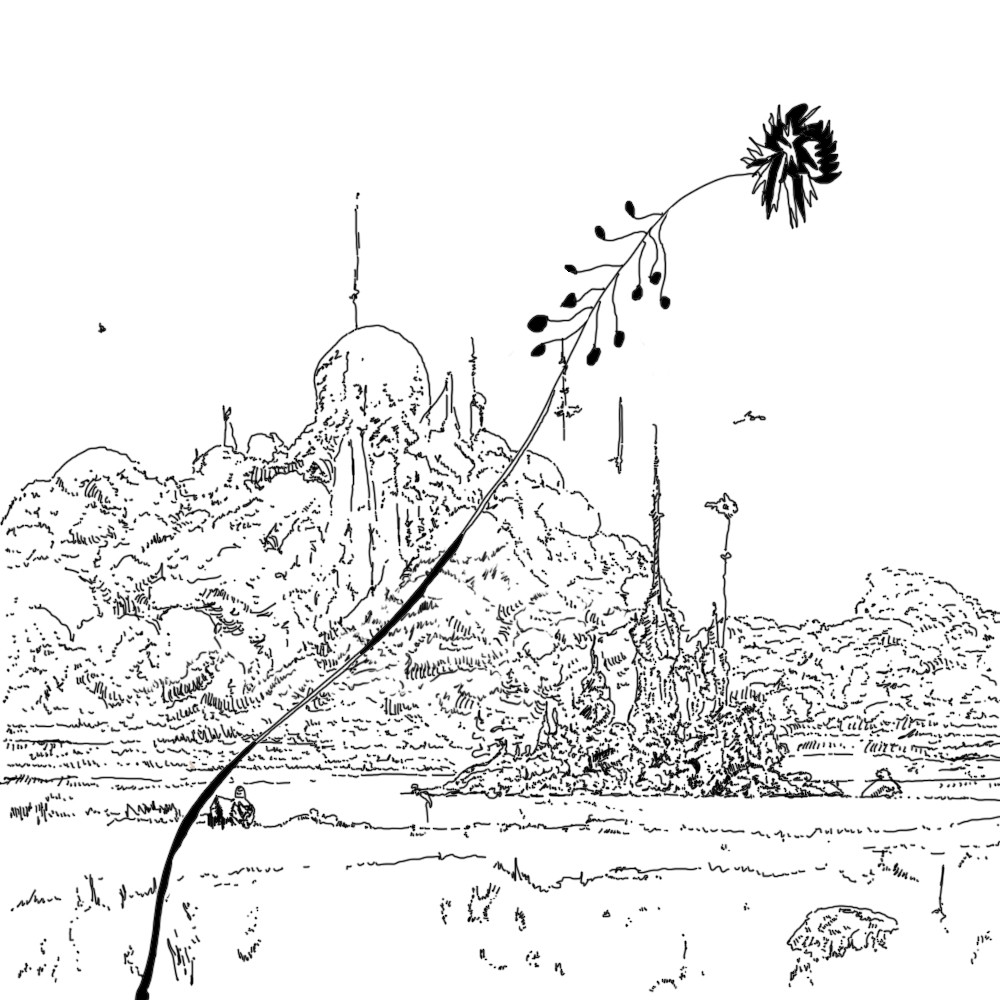 Venusian Flower drawing by Evan | Doodle Addicts