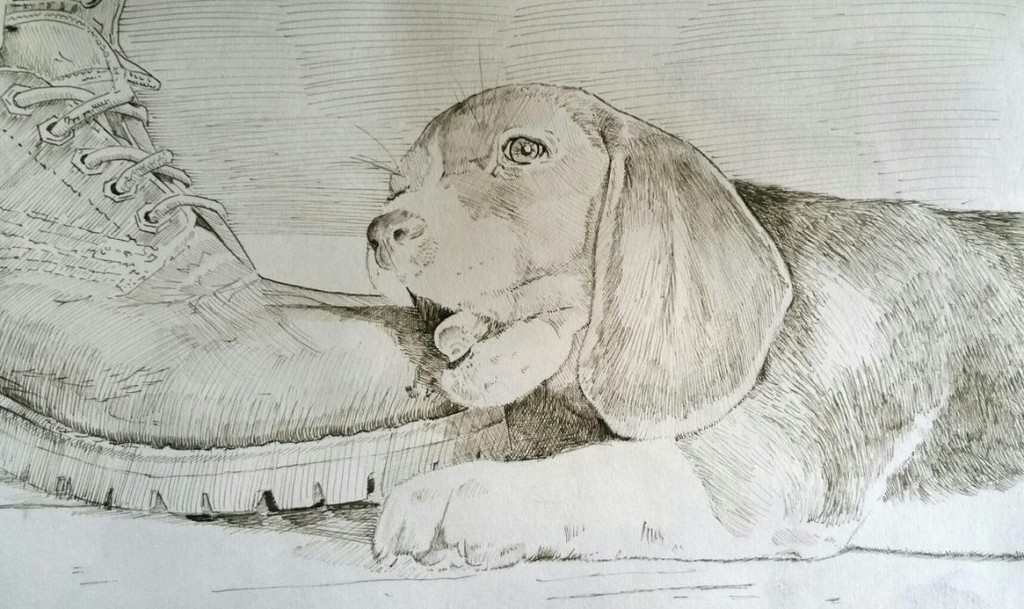 Bad Dog drawing by Baz | Doodle Addicts