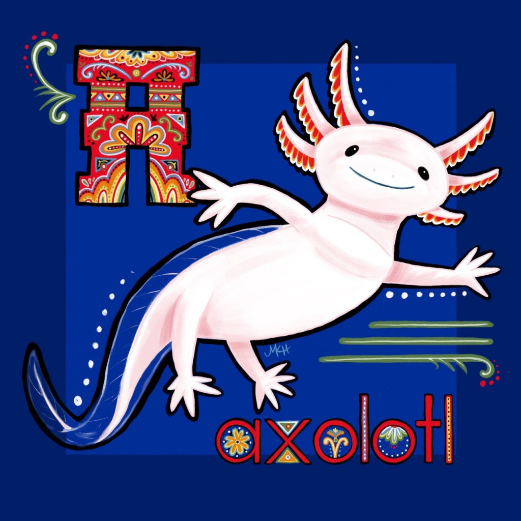 A is for Axolotl drawing by Marybeth | Doodle Addicts