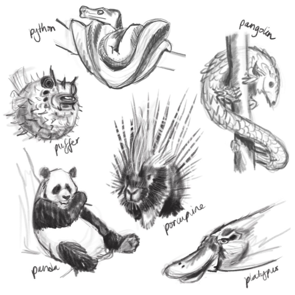 Quick Animal Sketches drawing by mhmakesthings | Doodle Addicts