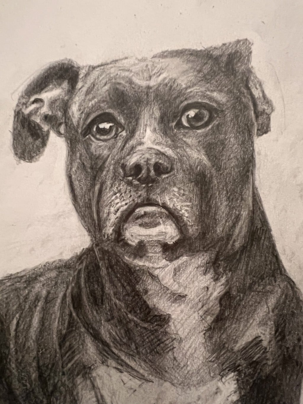 Work in progress… drawing by Tom Hopper | Doodle Addicts