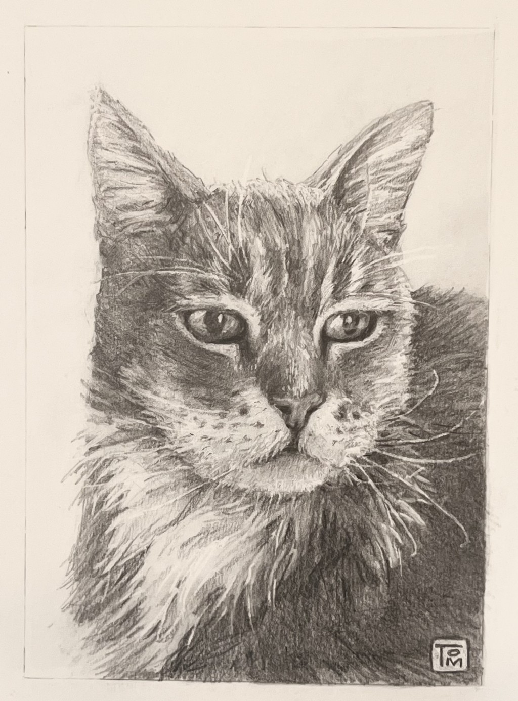 New cat portrait drawing by Tom Hopper | Doodle Addicts