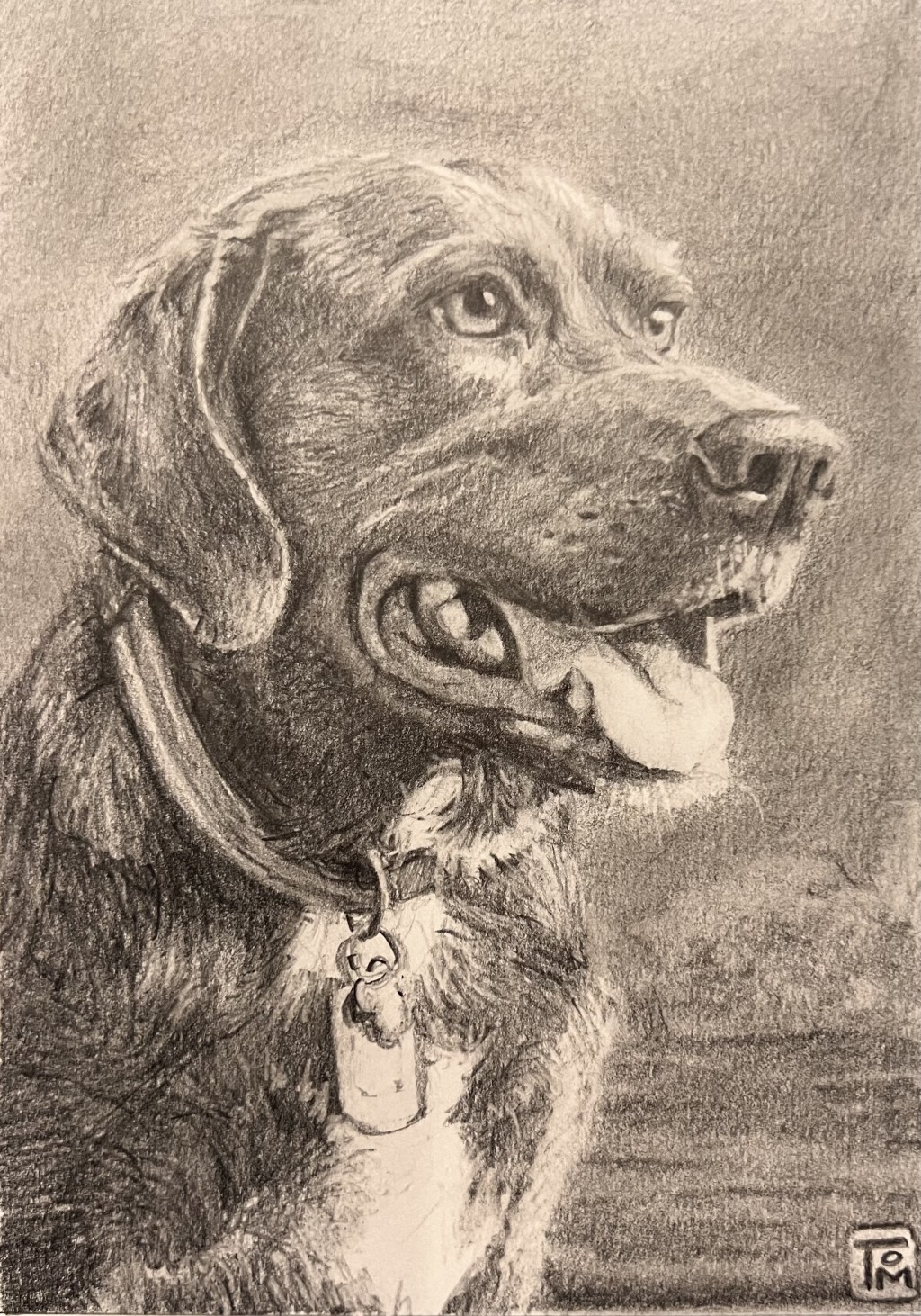 New dog portrait drawing by Tom Hopper | Doodle Addicts