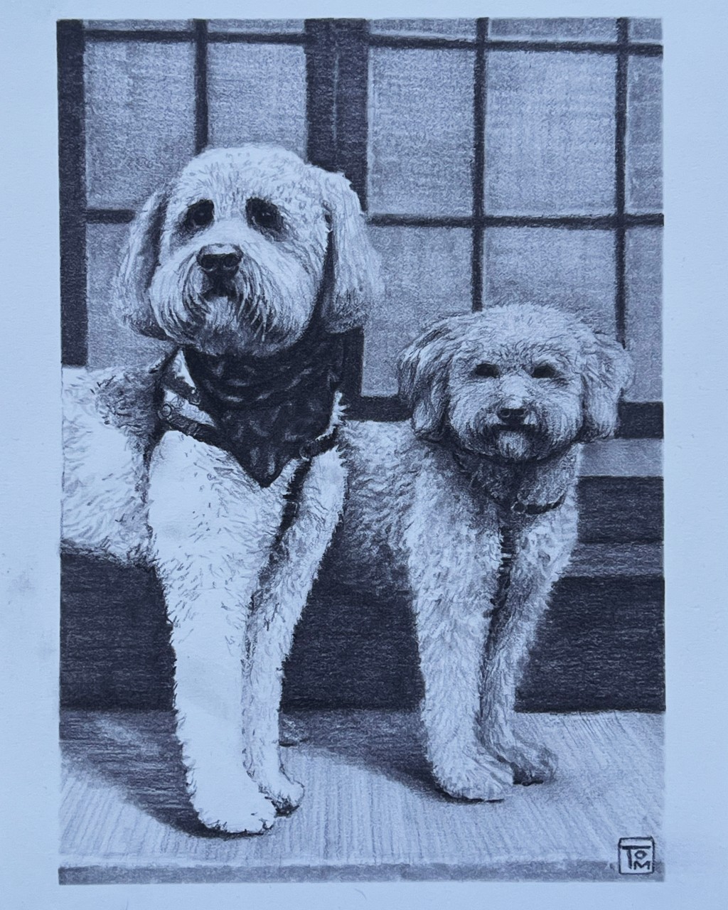 Two doodles drawing by Tom Hopper | Doodle Addicts