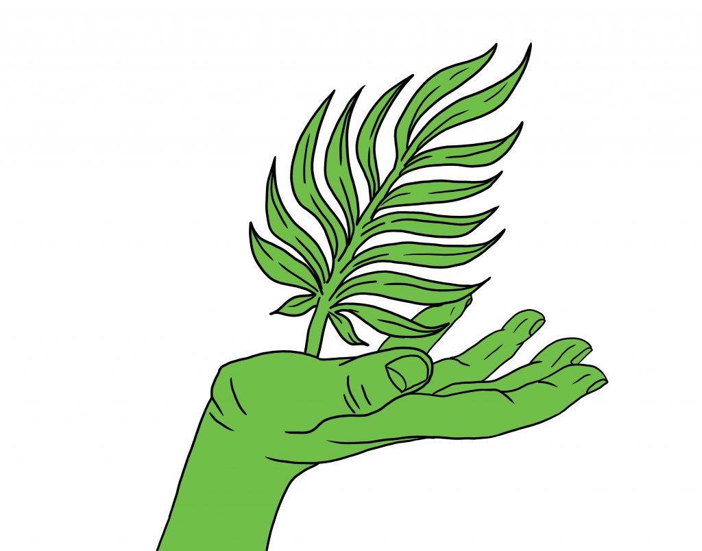 Palm Leaf drawing by Dane Mullen | Doodle Addicts