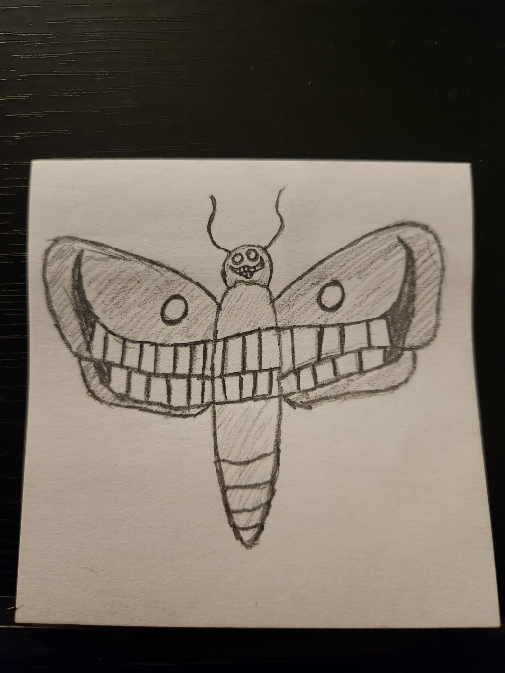 Moth Sketch drawing by Dane Mullen | Doodle Addicts