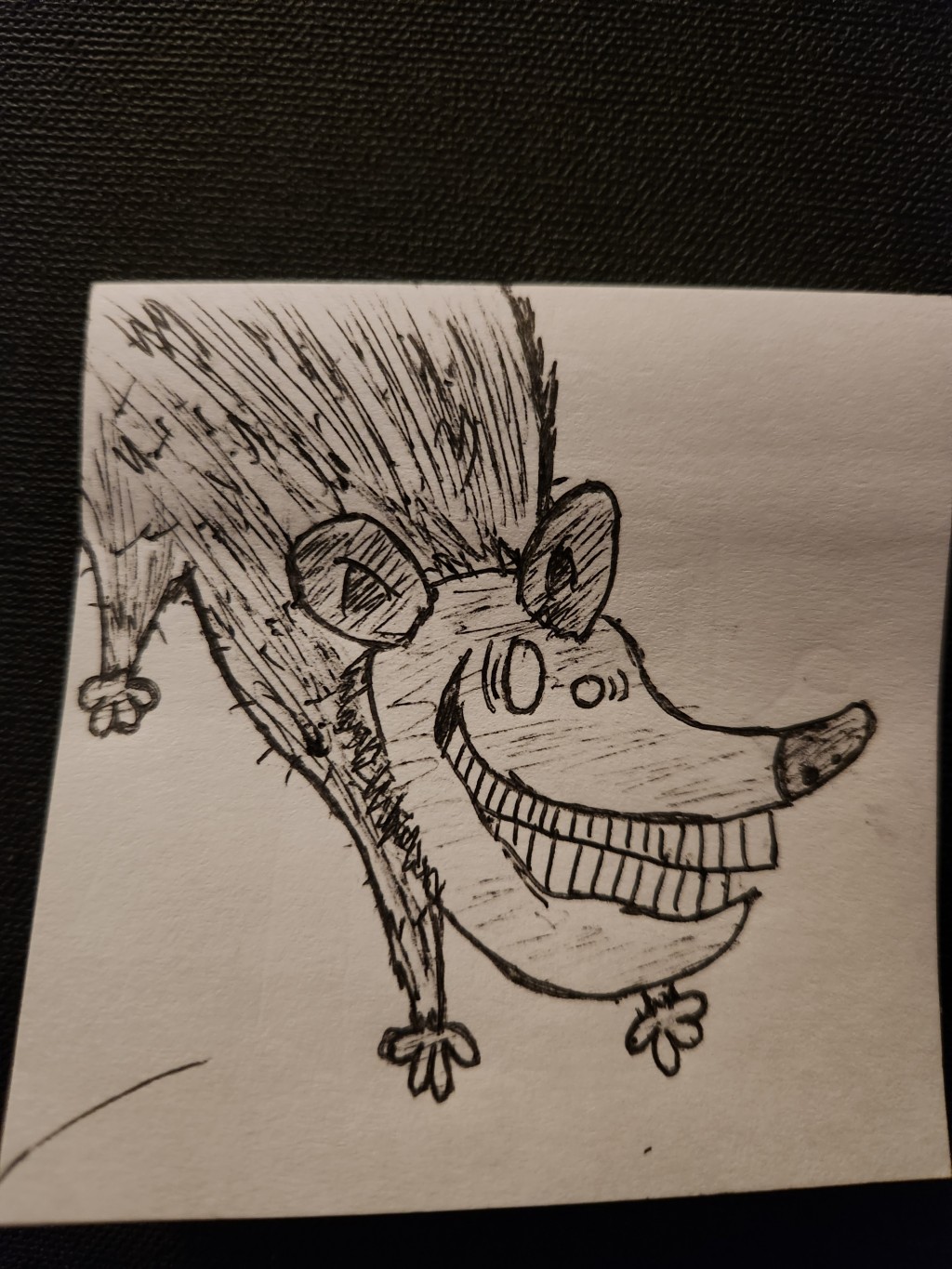 Possum Doodle drawing by Dane Mullen | Doodle Addicts