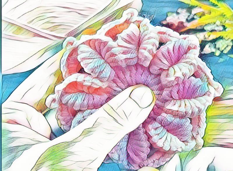 Gentle hand drawing by Nina Chete | Doodle Addicts