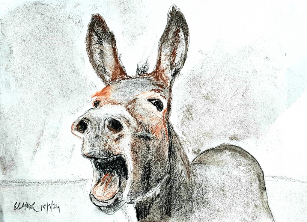 "Donkey Aria" (2024) drawing by Eliot McCann | Doodle Addicts