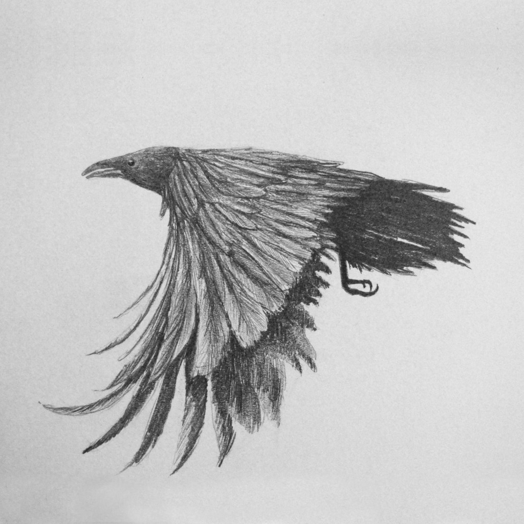 Raven drawing by Niels Mud | Doodle Addicts