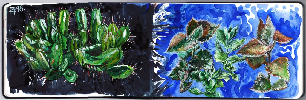 Sharp versus Soft drawing by Zuzanna Turek | Doodle Addicts