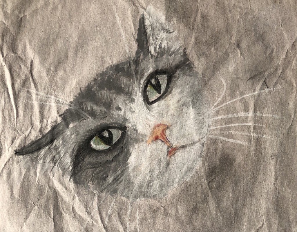 ISO Cat #2 drawing by Janna | Doodle Addicts