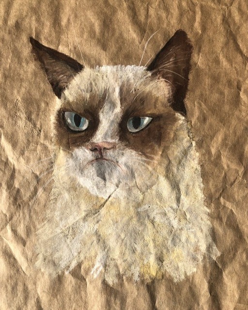 ISO grumpy cat drawing by Janna | Doodle Addicts