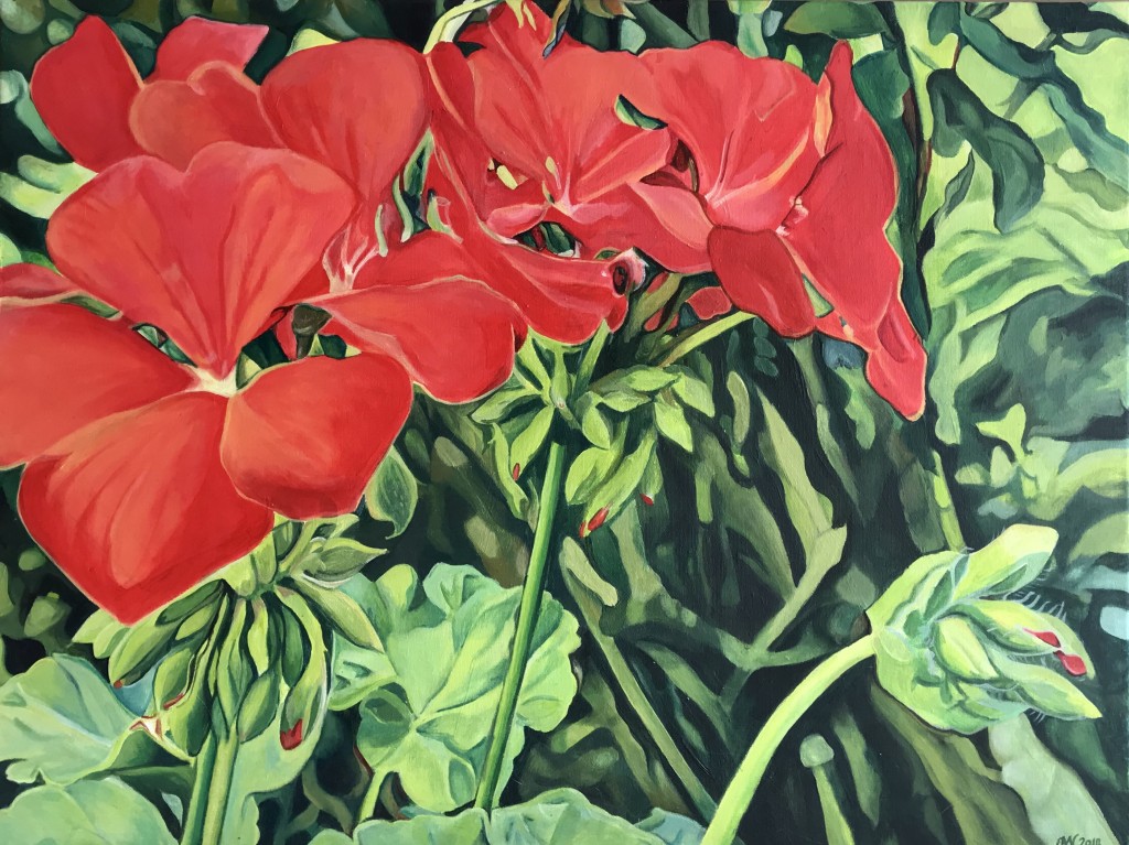 Garden of Geraniums drawing by Jennifer Mallory-Welch | Doodle Addicts