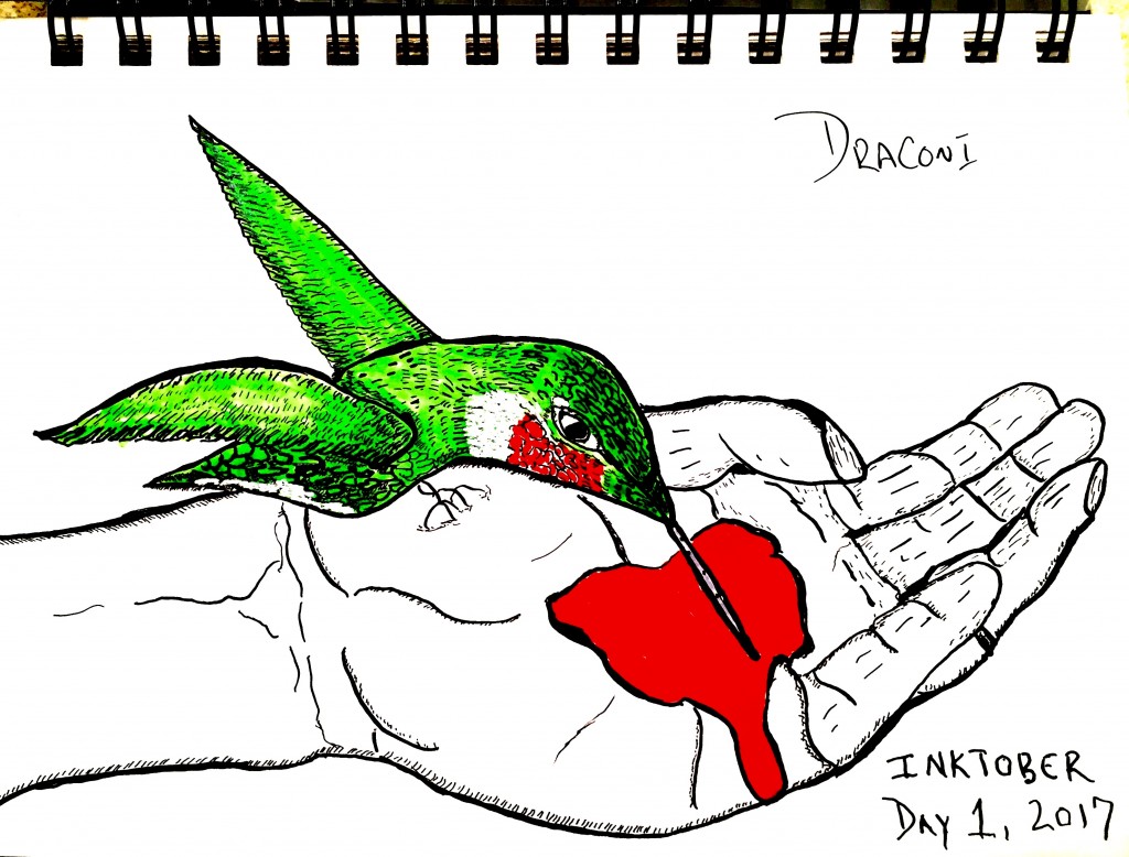Hummingbird Feeder drawing by Piper Draconi | Doodle Addicts